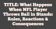 What Happens When NFL Player Throws Ball In Stands: Rules, Reactions ...