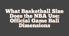What Basketball Size Does The NBA Use: Official Game Ball Dimensions
